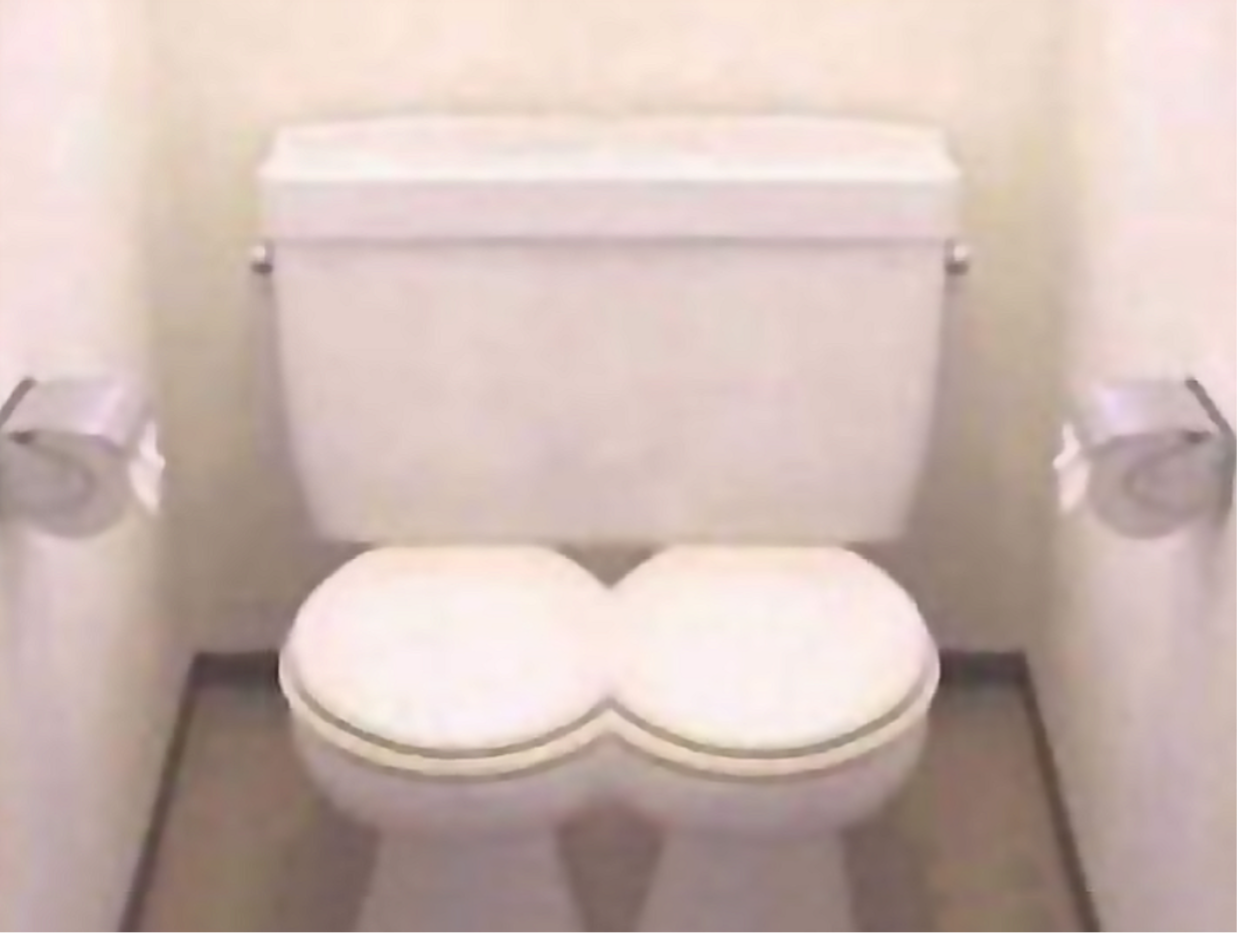 Suffolk Council introduces Siamese toilets to help communities ‘stick ...